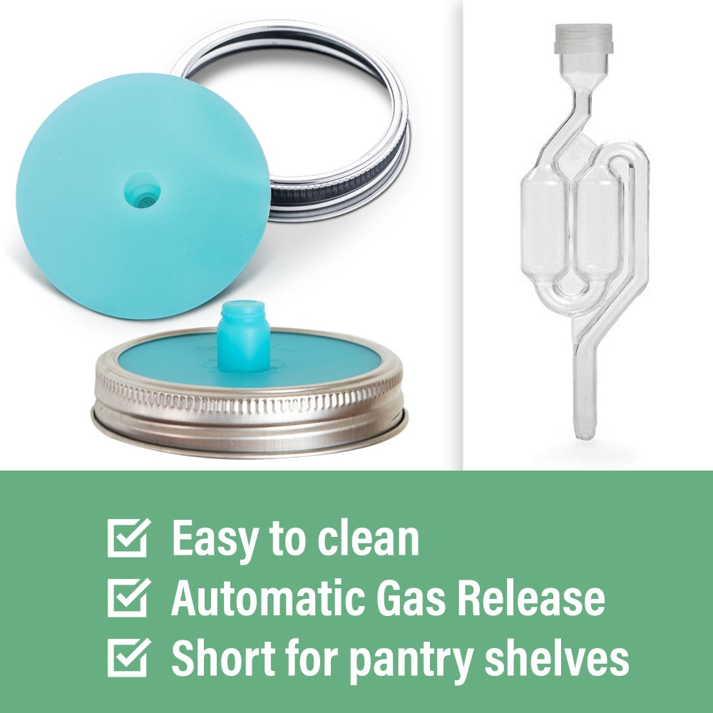 Silicone Fermentation Airlock Lids for Mason Jars + Rust Proof Bands ...