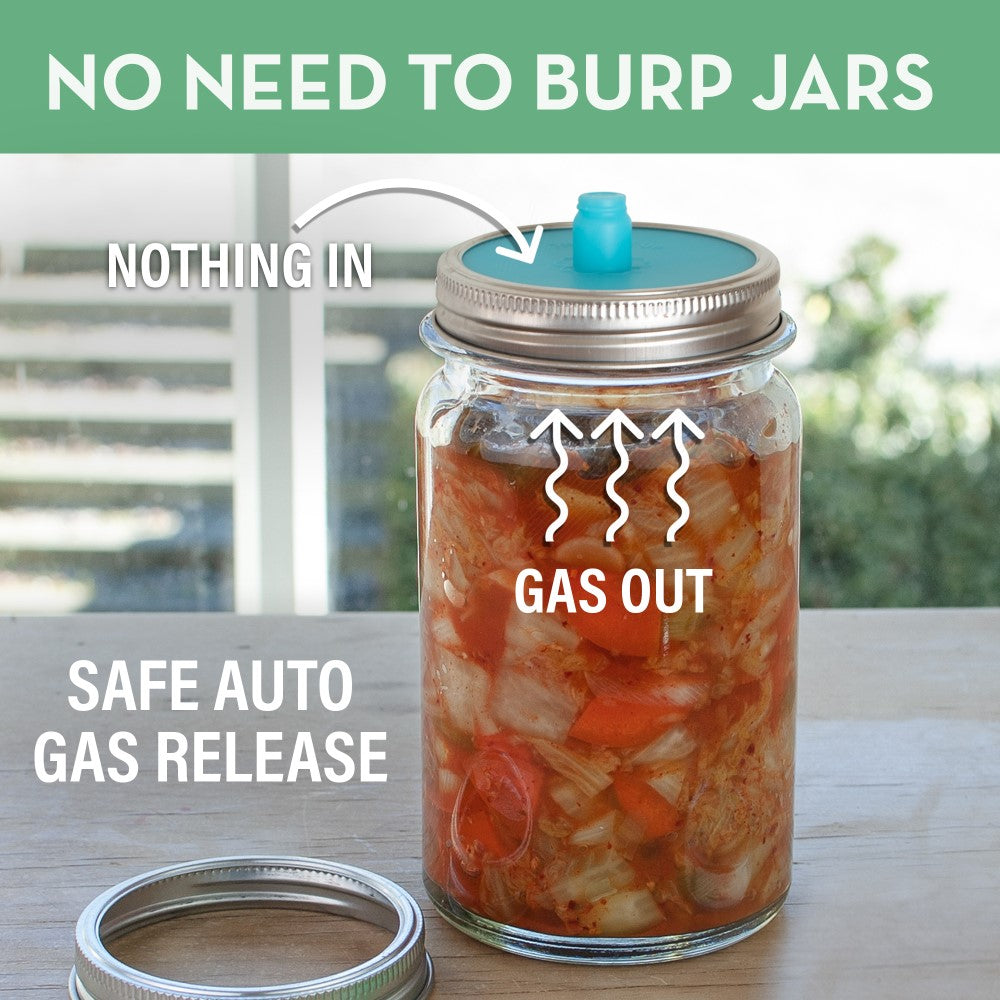 Silicone Fermentation Airlock Lids for Mason Jars + Rust Proof Bands ...